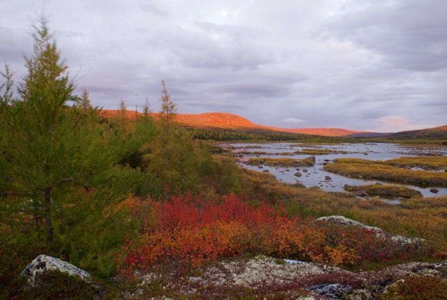 Projects — Inuit Tapiriit Kanatami