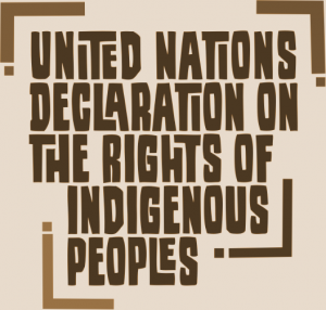 United Nations Declaration on the Rights of Indigenous Peoples