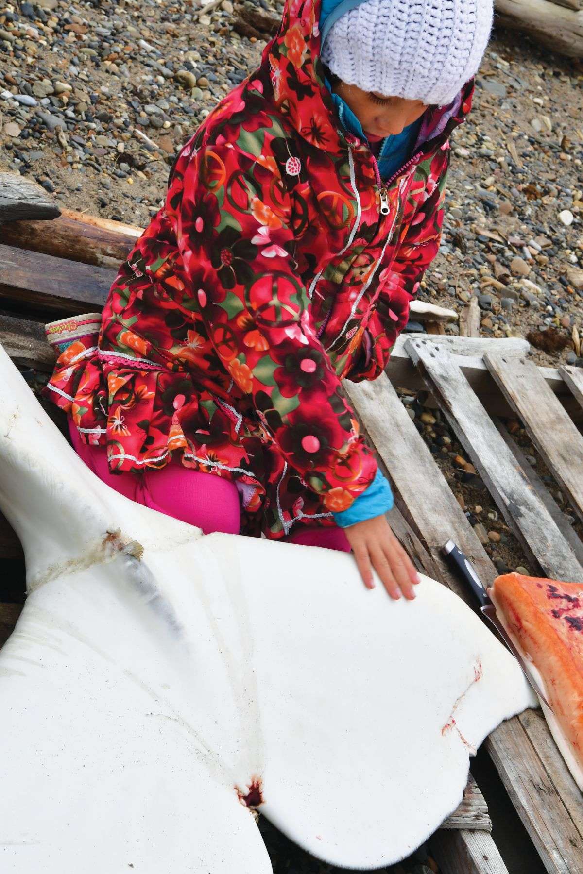 The North is my bank — Inuit Tapiriit Kanatami