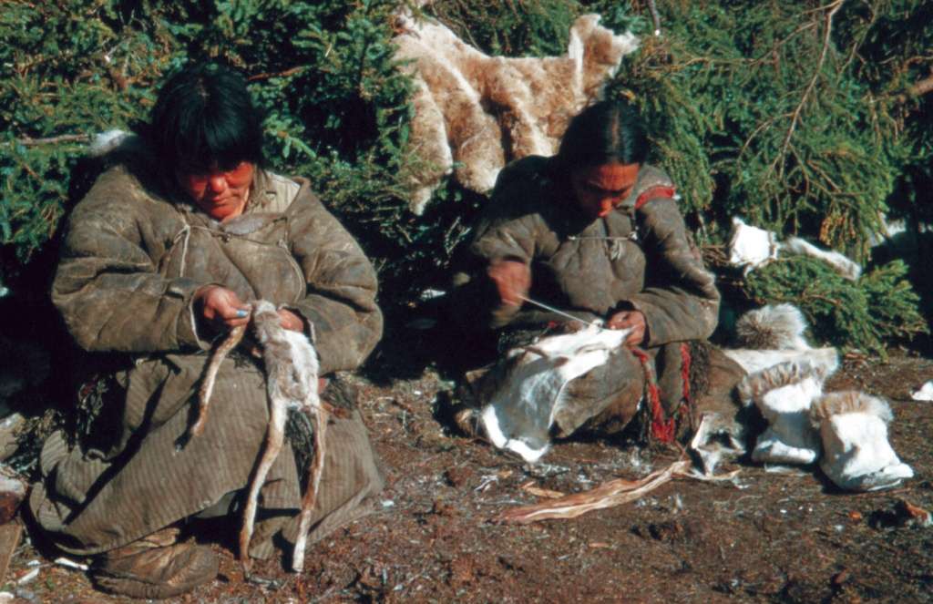 An interview with David Serkoak — Inuit Tapiriit Kanatami