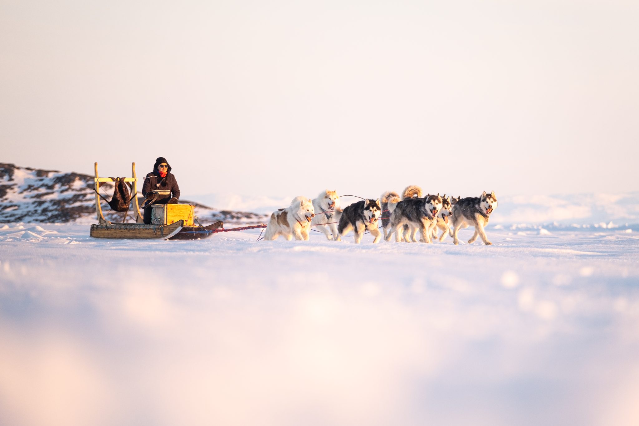 Strength from the sled — Inuit Tapiriit Kanatami