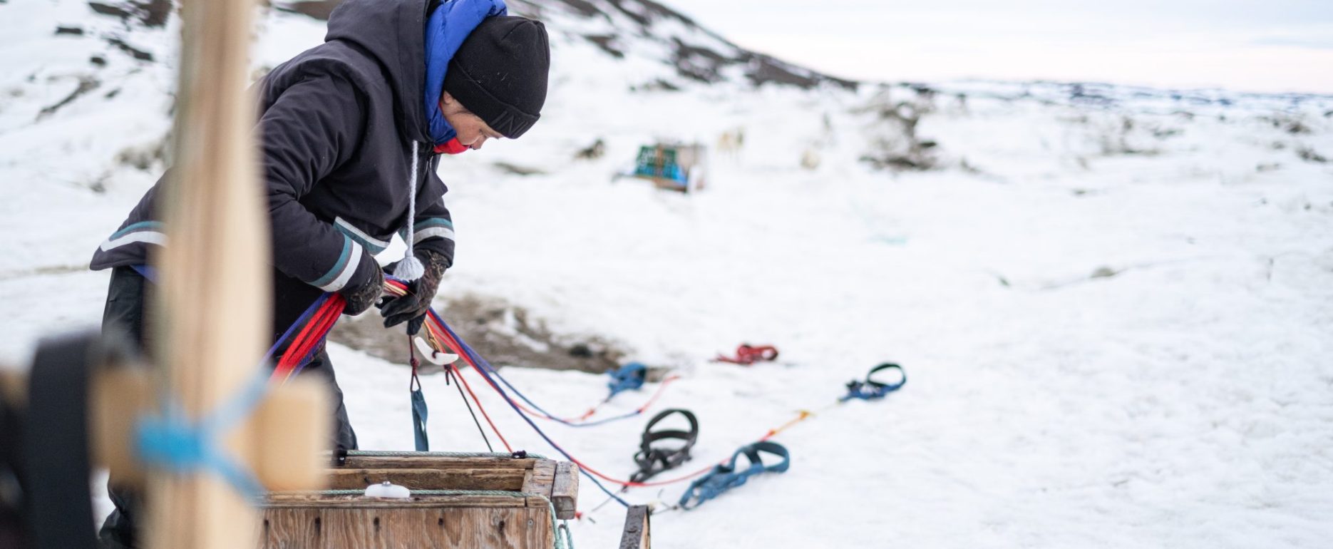 Strength from the sled — Inuit Tapiriit Kanatami