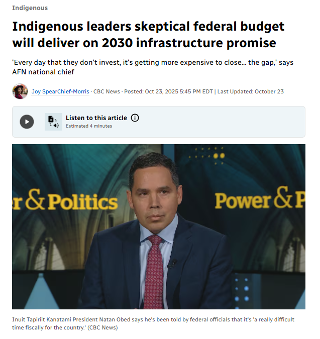 Indigenous leaders skeptical federal budget will deliver on 2030 ...